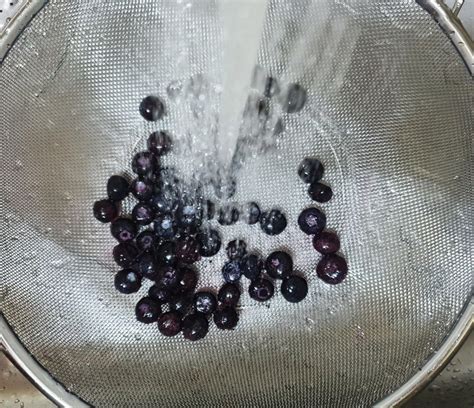 진하고 맛있는 블루베리 에이드 만들기 냉동 블루베리 세척