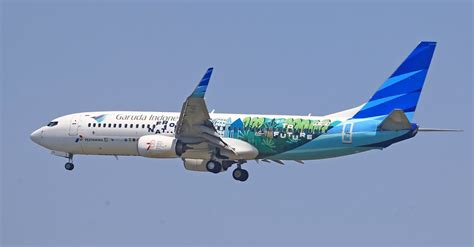 가루다 가루다 인도네시아 공중 교통 국제 항공사 글로벌 여행 기내 기내 서비스 기도 꼬리 날개 날으는 대중교통 리버리 디자인 맑은 하늘 맑은 하늘