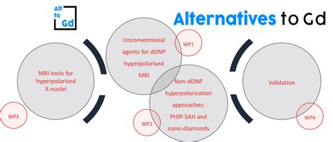 Gadolinium Contrast Agents