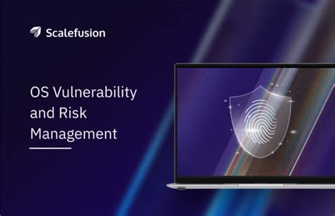 Os Vulnerability Management Types Risks And Solutions
