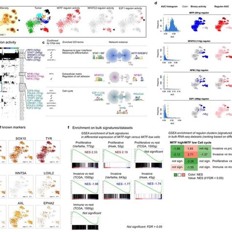 Scenic Single Cell Regulatory Network Inference And Clustering Request Pdf