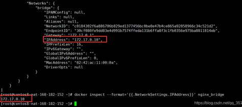 Docker四种网络模式（bridge，host，container，none） Wq9 博客园