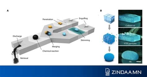 Эрдэмтэд “Терминатор 2” шиг шингэн робот бүтээжээ