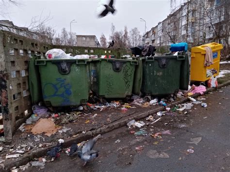 «Такого бардака не видела никогда!» — жительницу Петрозаводска ...