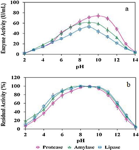 Enzyme Graph Ph