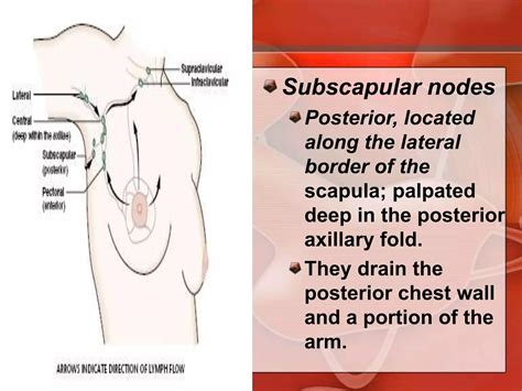 Assessing The Breasts And Axillae Pptx