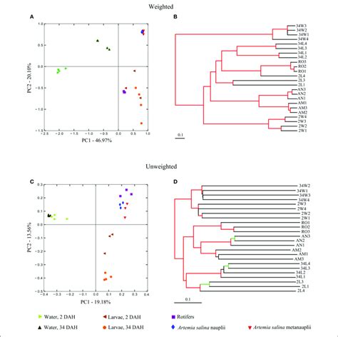 Phylotype Otu Level Ordination Of Bacterial Communities In Gilthead Download Scientific