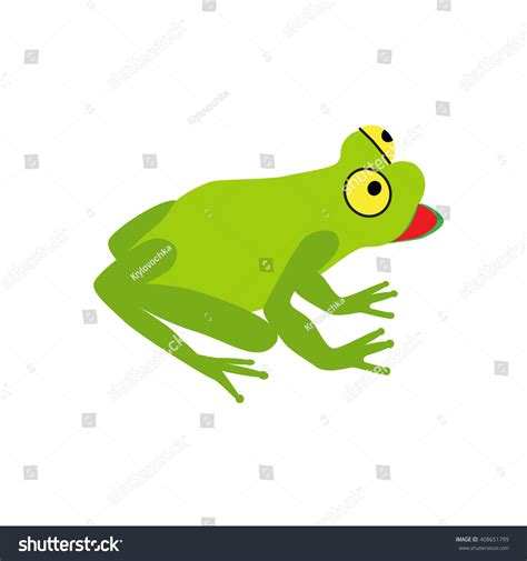 Green Tree Frog Vector Stock Vector Royalty Free Shutterstock