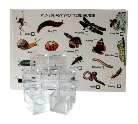 Bug Pots With Insect Viewer Magnifying Pot Pack Of 31 And 31 Large