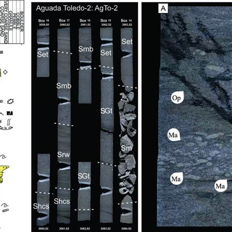 Facies Association 1 Fa1 Delta Front Mouth Bars Trough