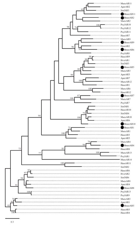 Exploring The Terminal Pathway Of Sex Pheromone Biosynthesis And
