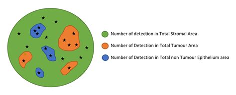 extract cell detection data from segmented areas annotations in tma if
