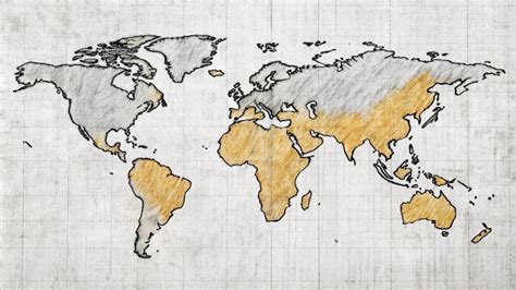 Premium Photo Hand Drawn World Map With Grid Lines And Highlighted
