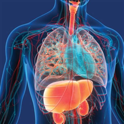 Resource Archive Simulations Plus