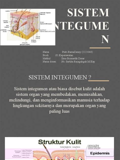 Biomedik Sistem Integumen Pdf