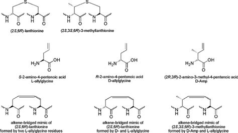 Lanthionine Alchetron The Free Social Encyclopedia