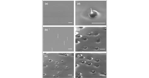 Nanoelectrode Arrays Based On Low Site Density Aligned Carbon Nanotubes Nano Letters