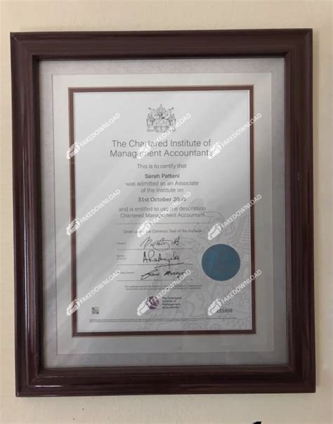 Cima University Template Psd Psd Fake Download