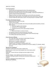 Comprehensive Study Of The Skeletal System Functions And Anatomy Course Hero
