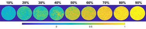Prediction Maps Of Pork Adulteration In Minced Beef At Different Levels