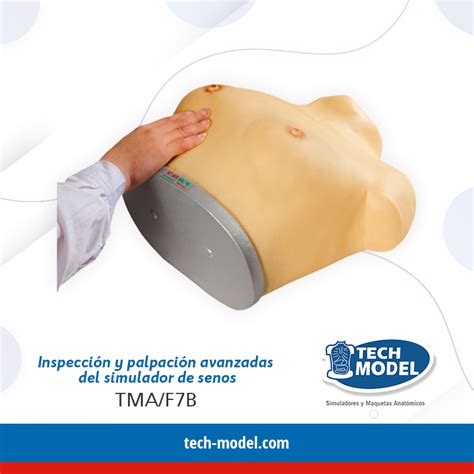 Simulador De Examen De Mama Tmf7b Tech Model Importadora Andina Eirl