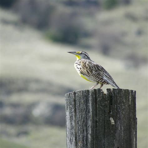 Podunk Woman Podunk Woman Added A New Photo