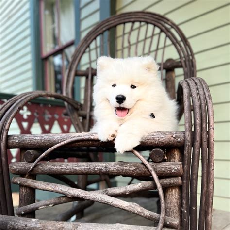 Asher Prince Asherprince0402 • Instagram Photos And Videos