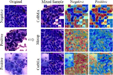 Figure From CellMix A General Instance Relationship Based Method For Data Augmentation