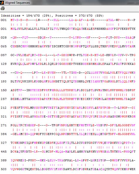 Global Alignment Nw Of Human And Fly By Using Blosum60 Scoring Matrix