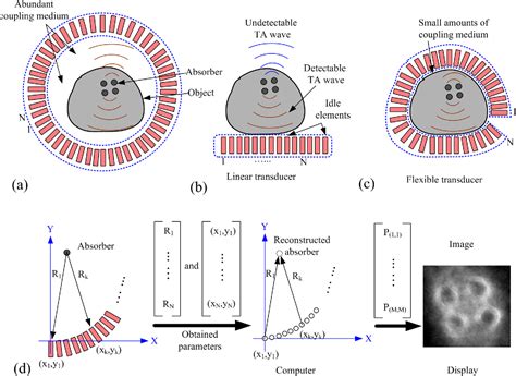 Figure 1 From Shape Adapting Thermoacoustic Imaging System Based On Flexible Multi Element
