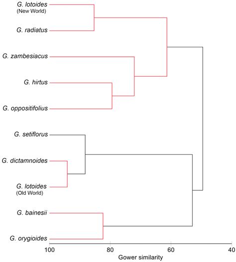 Classification Of Glinus Species By Group Average Linkage Algorithm Of