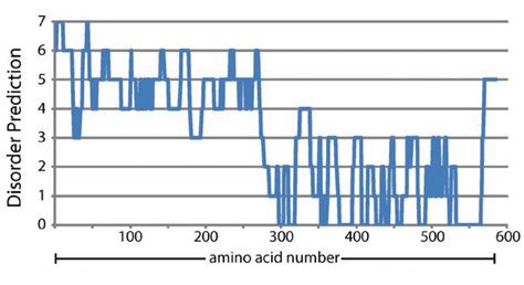 41 Questions With Answers In Intrinsically Disordered Proteins