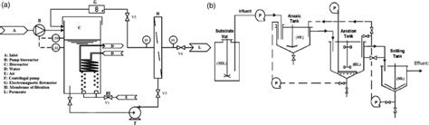 Schematic Diagram Of Mbr A And Cas B Installations Download Scientific Diagram