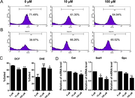 Effects Of Dehp Exposure On Oxidative Stress Dcf And Dhe And