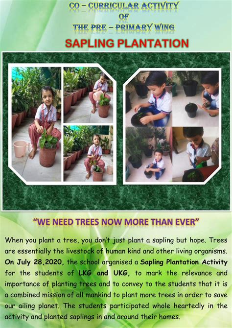 Pdf Sapling Plantation Dokumen Tips