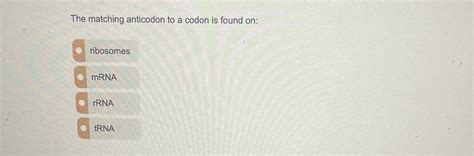 Solved The Matching Anticodon To A Codon Is Found