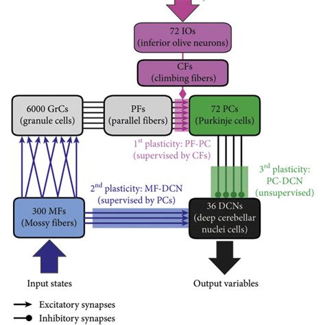 detailed spiking neural network snn architecture the snn network