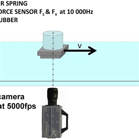 The Experimental Setup Comprising A Linear Friction Tester A Force