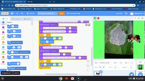 Tutorial Life Cycle of a Butterfly using SCRATCH-Part 2 - YouTube