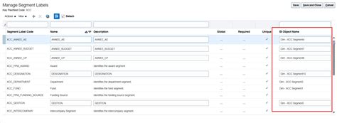 Key Flexfield Segments Not Appearing In Otbi Subject Area Budgetary