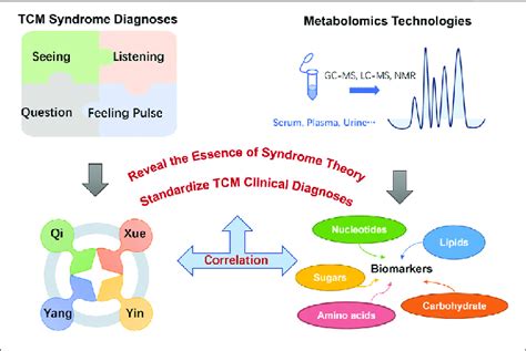 Differentiating Tcm Syndromes Among Patients With T2dm Download Scientific Diagram