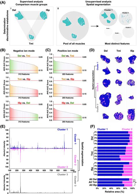 spatial segmentation shows prominent differences between three clusters