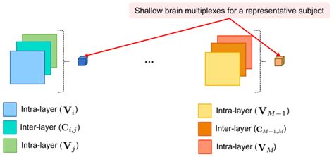 Proposed Shallow 2 Layer Morphological Brain Multiplex Construction