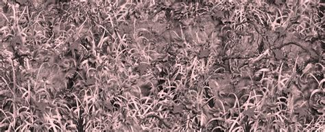 Grassland Camo Pink Aurora Graphics