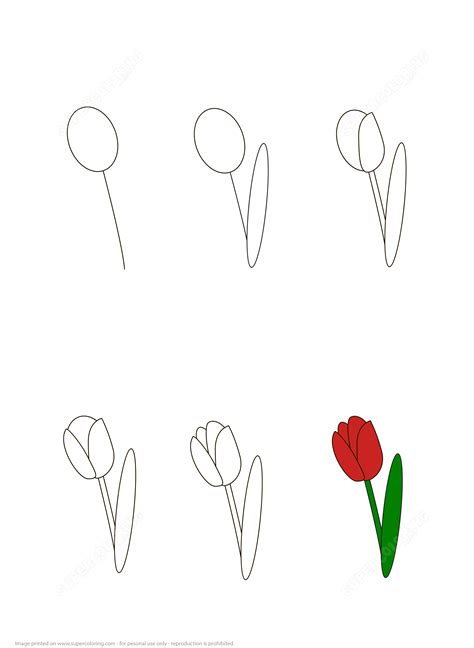 How To Draw A Tulip Easily Free Printable Puzzle Games