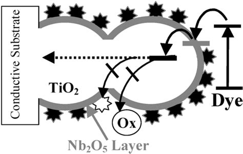 The Journal Of Physical Chemistry B Vol 107 No 9