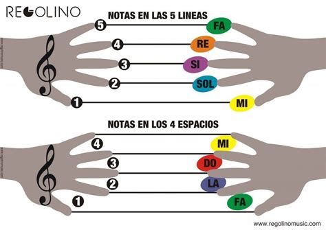 Las Notas Musicales En El Pentagrama Guía Completa ⭐ Artofit