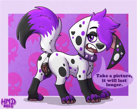 Dalmatian Street Porn Rule Porn