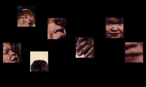 Anatomy Of A Portrait Lia Cook