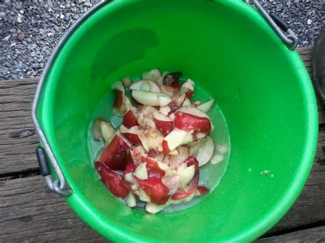 How To Make Simple Homemade Peach Wine Hubpages